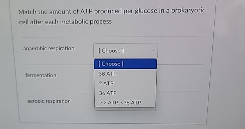 Solved Match the amount of ATP produced per glucose in a | Chegg.com
