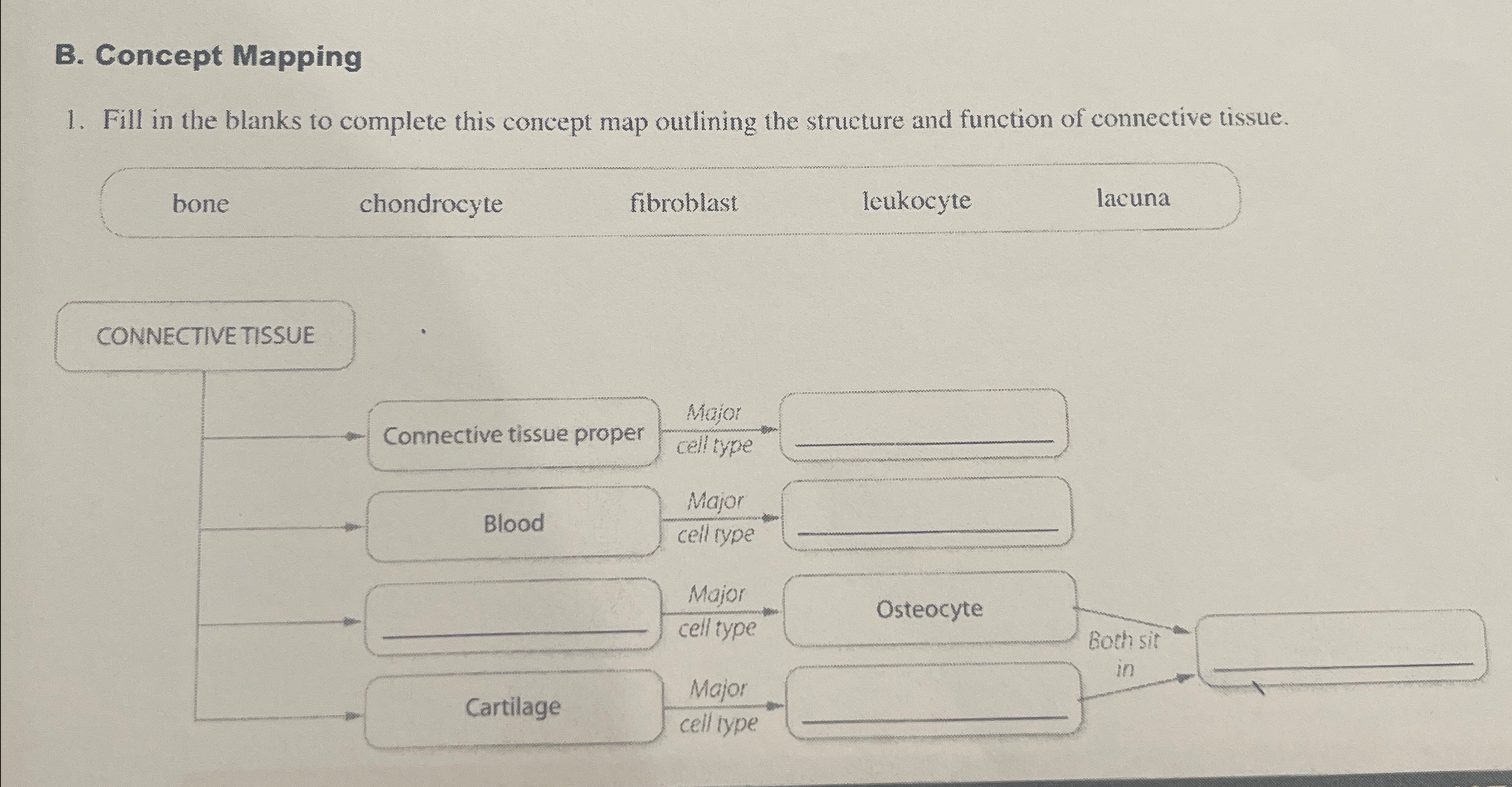 Solved B. ﻿Concept MappingFill in the blanks to complete | Chegg.com