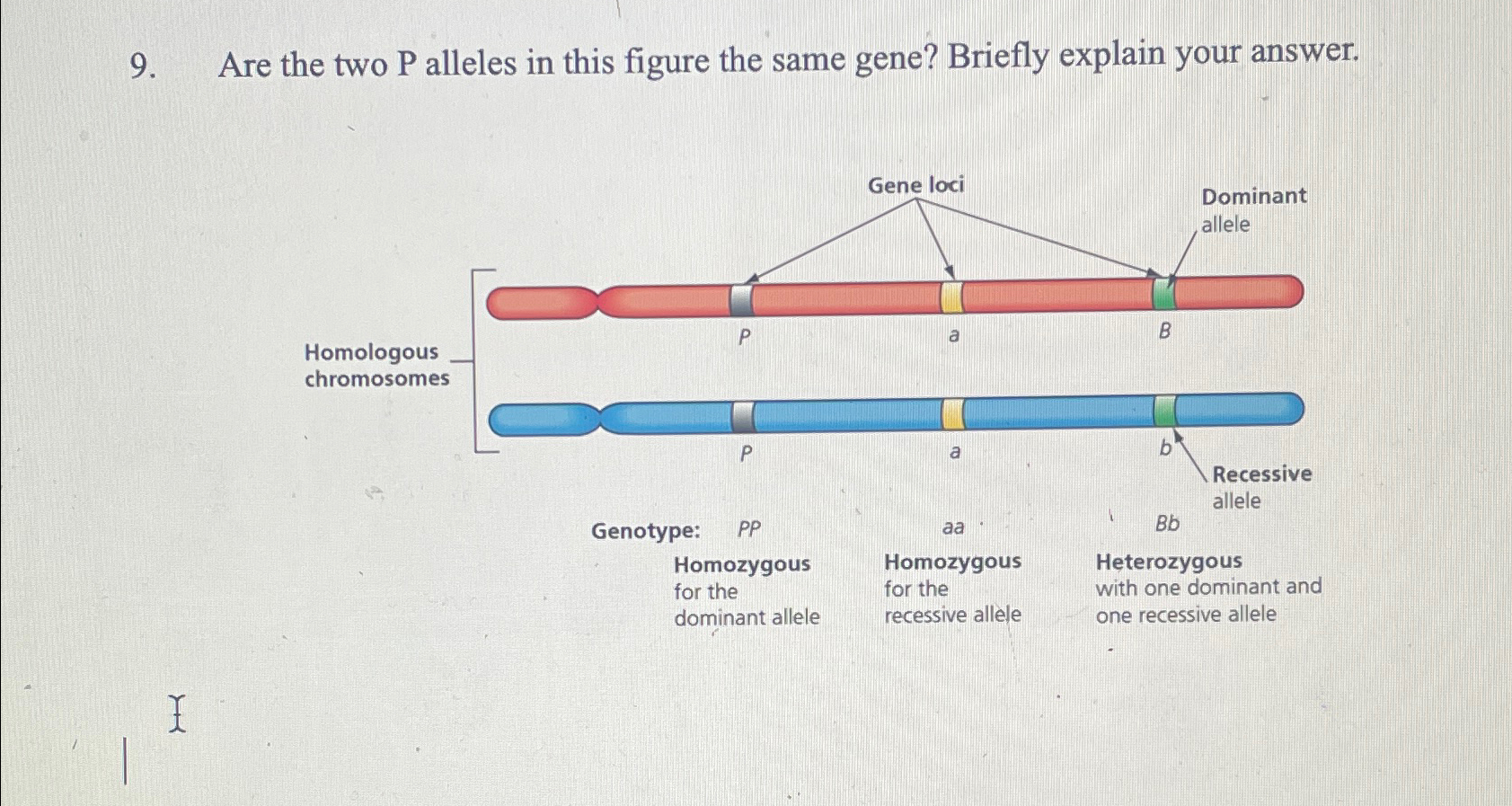 Solved Are the two P ﻿alleles in this figure the same gene? | Chegg.com