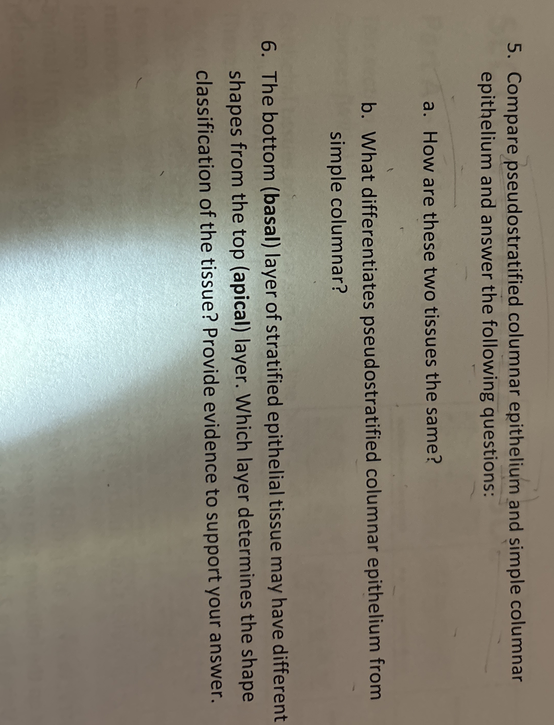 Solved Compare pseudostratified columnar epithelium and | Chegg.com