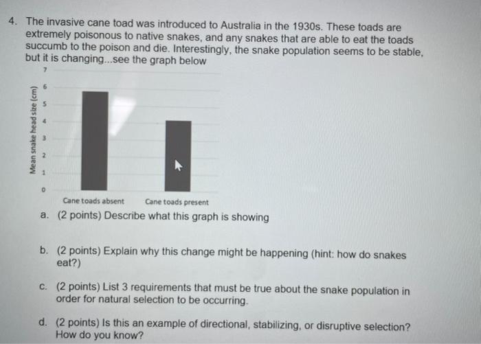 Solved The invasive cane toad was introduced to Australia in | Chegg.com