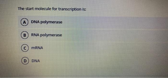 Solved Microevolution is defined as: A the process where one | Chegg.com