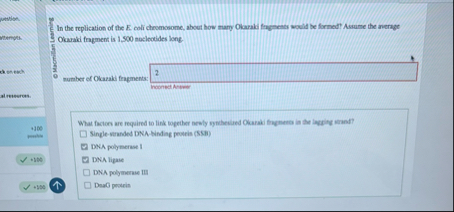 Solved putwienytenjuthIn the replication of the E. ﻿coli | Chegg.com