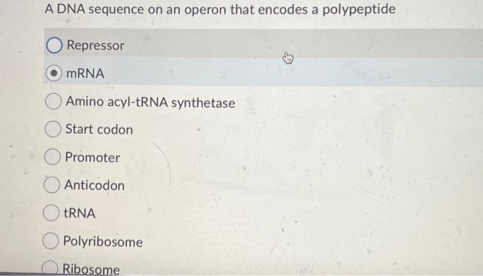 Solved A DNA sequence on an operon that encodes a | Chegg.com