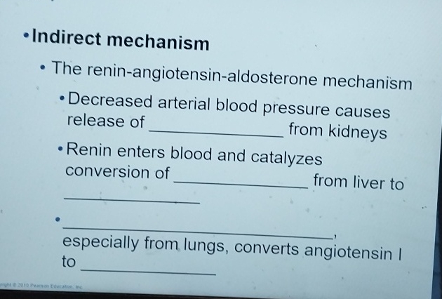 Solved Indirect mechanismThe renin-angiotensin-aldosterone | Chegg.com