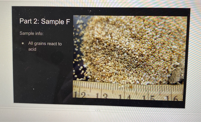 Solved Table 2-Data table for sand observations Sample label | Chegg.com