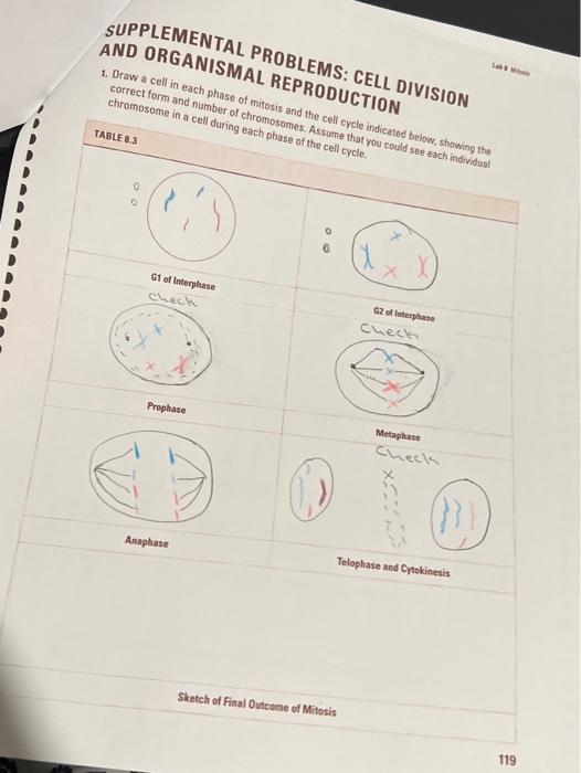 Solved SUPPLEMENTAL PROBLEMS: CELL DIVISION AND ORGANISMAL | Chegg.com