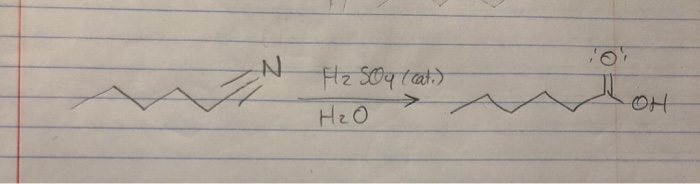 Solved IN A H2SO4 (cat.) H₂O OH | Chegg.com