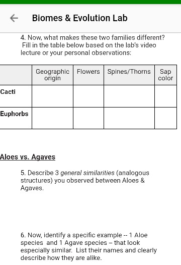 Solved Biomes & Evolution Lab Cacti (New World) Euphorbs | Chegg.com