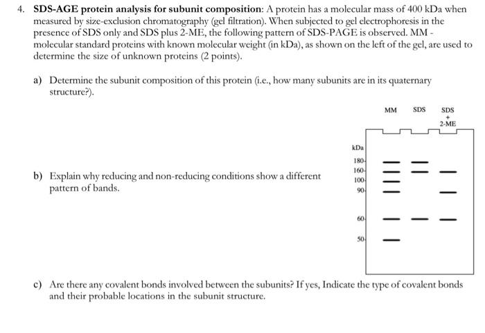 Solved 4. SDS-AGE protein analysis for subunit composition: | Chegg.com