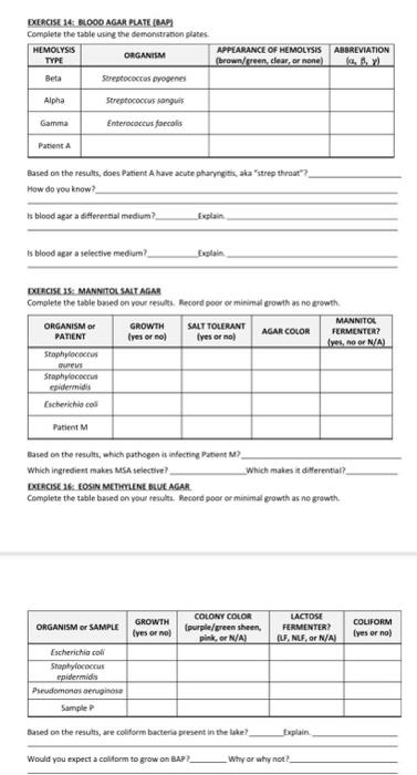 DXERCSE 14: MOOO AGAR PLATE (EAP) Complete the table | Chegg.com