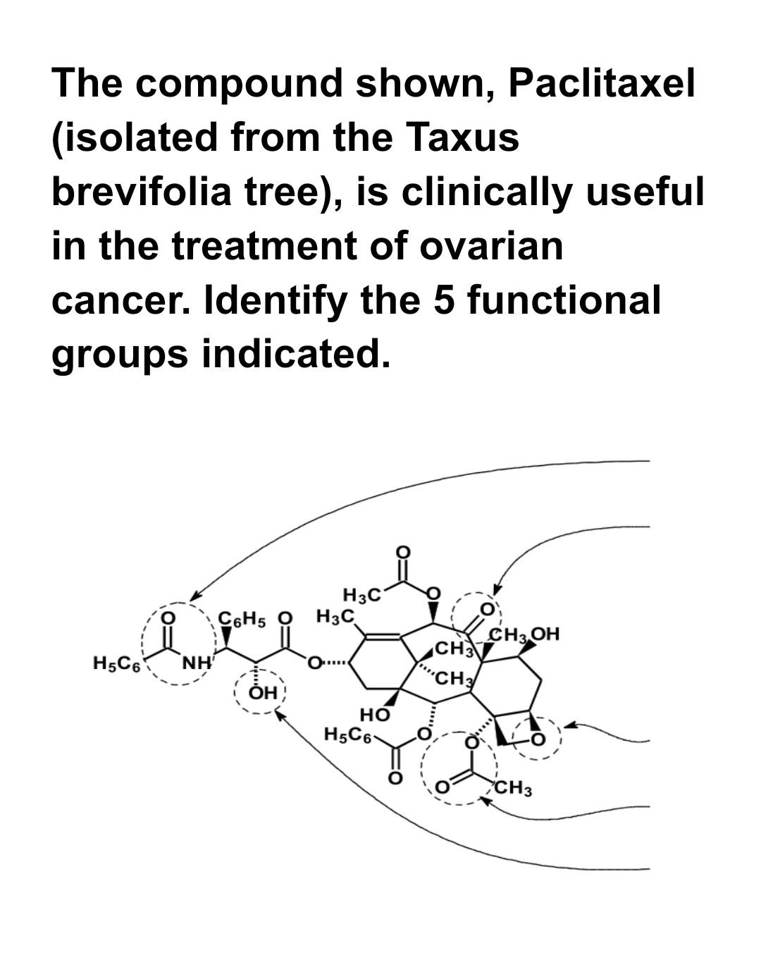 Solved The compound shown, Paclitaxel (isolated from the | Chegg.com
