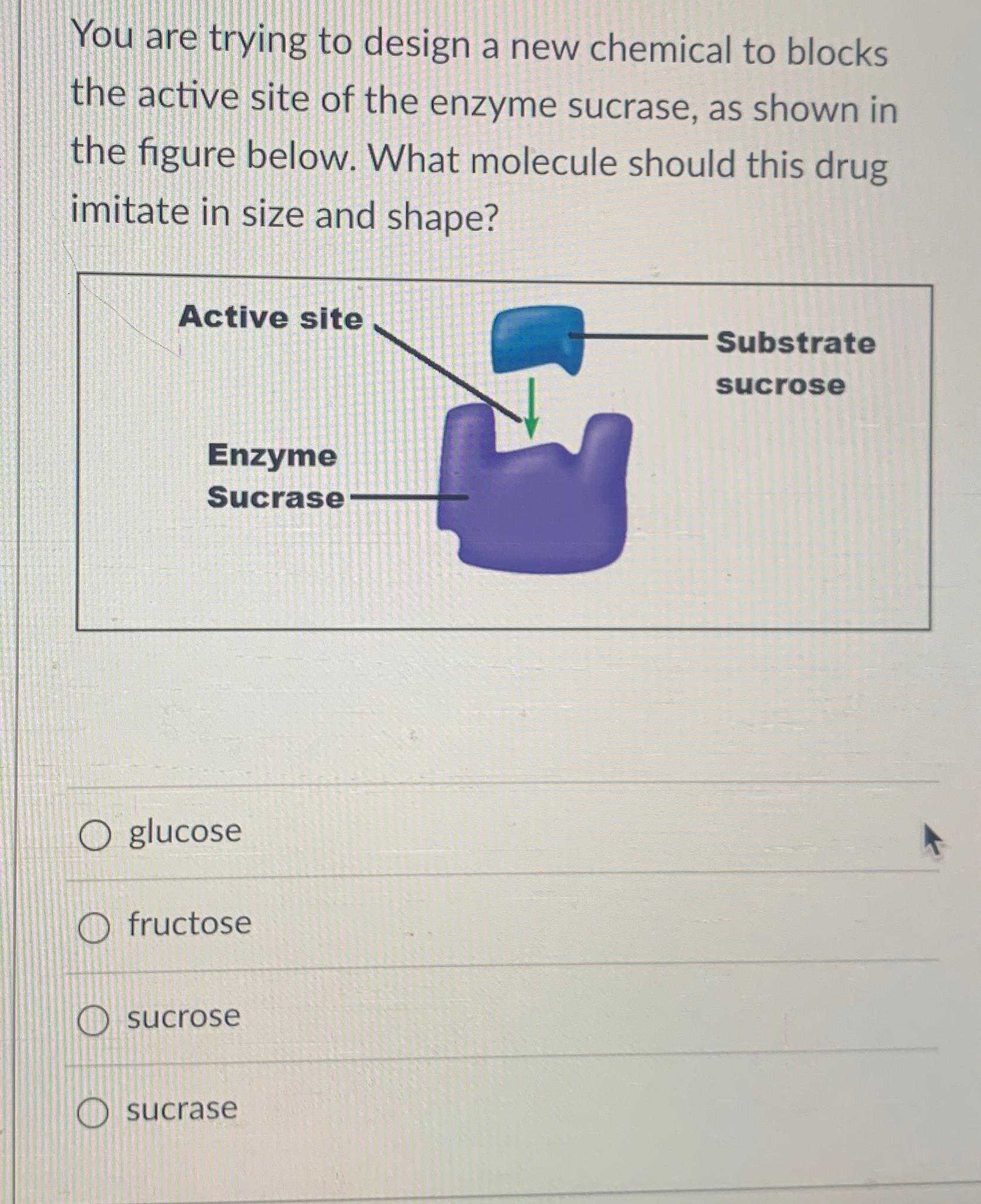 Solved You are trying to design a new chemical to blocks the | Chegg.com