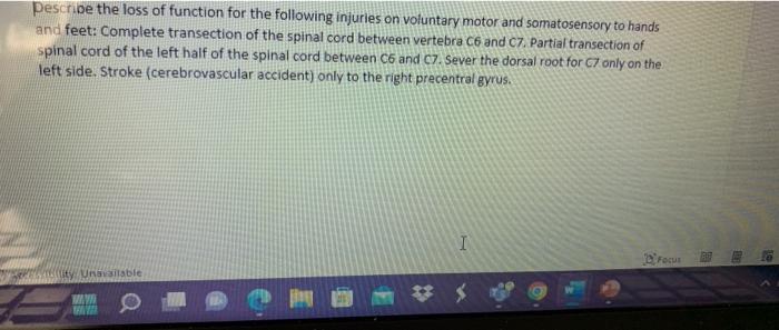Solved Pescribe the loss of function for the following | Chegg.com