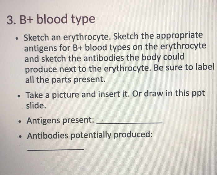 Solved 3. B+ blood type Sketch an erythrocyte. Sketch the | Chegg.com