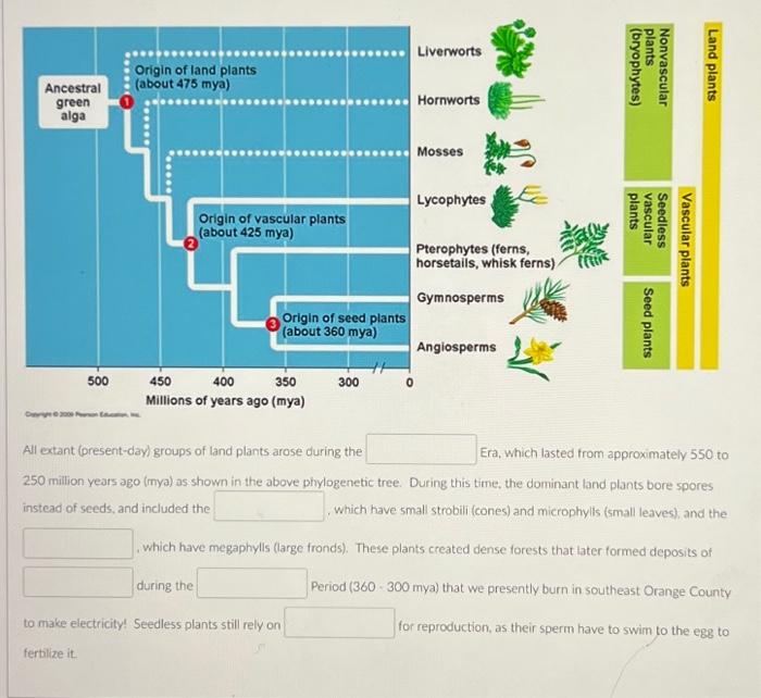 Solved All extant (present-day) groups of land plants arose | Chegg.com