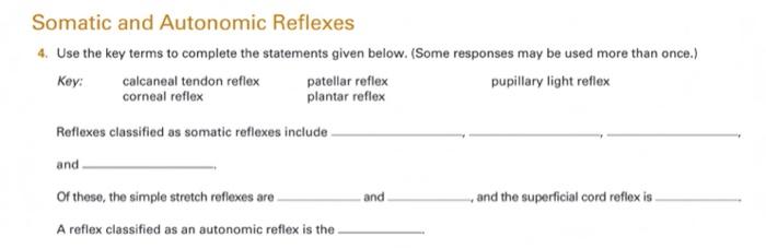 Solved Somatic and Autonomic Reflexes 4. Use the key terms | Chegg.com