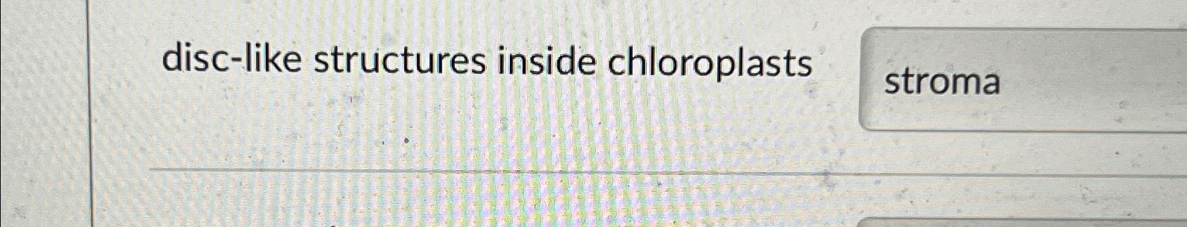Solved disc-like structures inside chloroplast | Chegg.com
