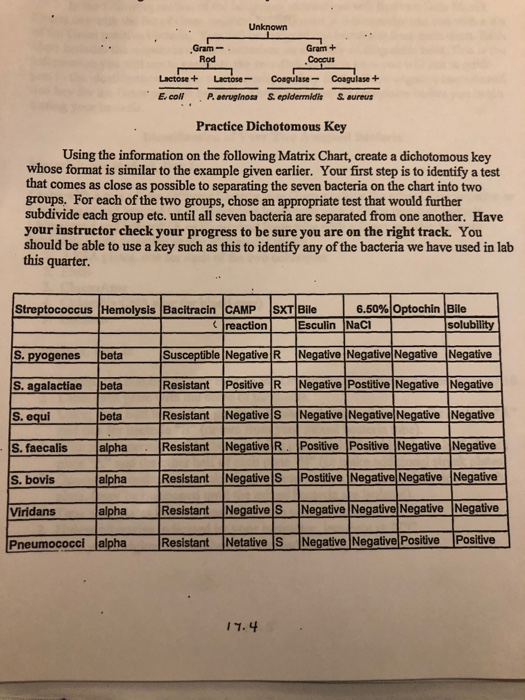 Solved make a dichotomous key with the groups on the chart. | Chegg.com