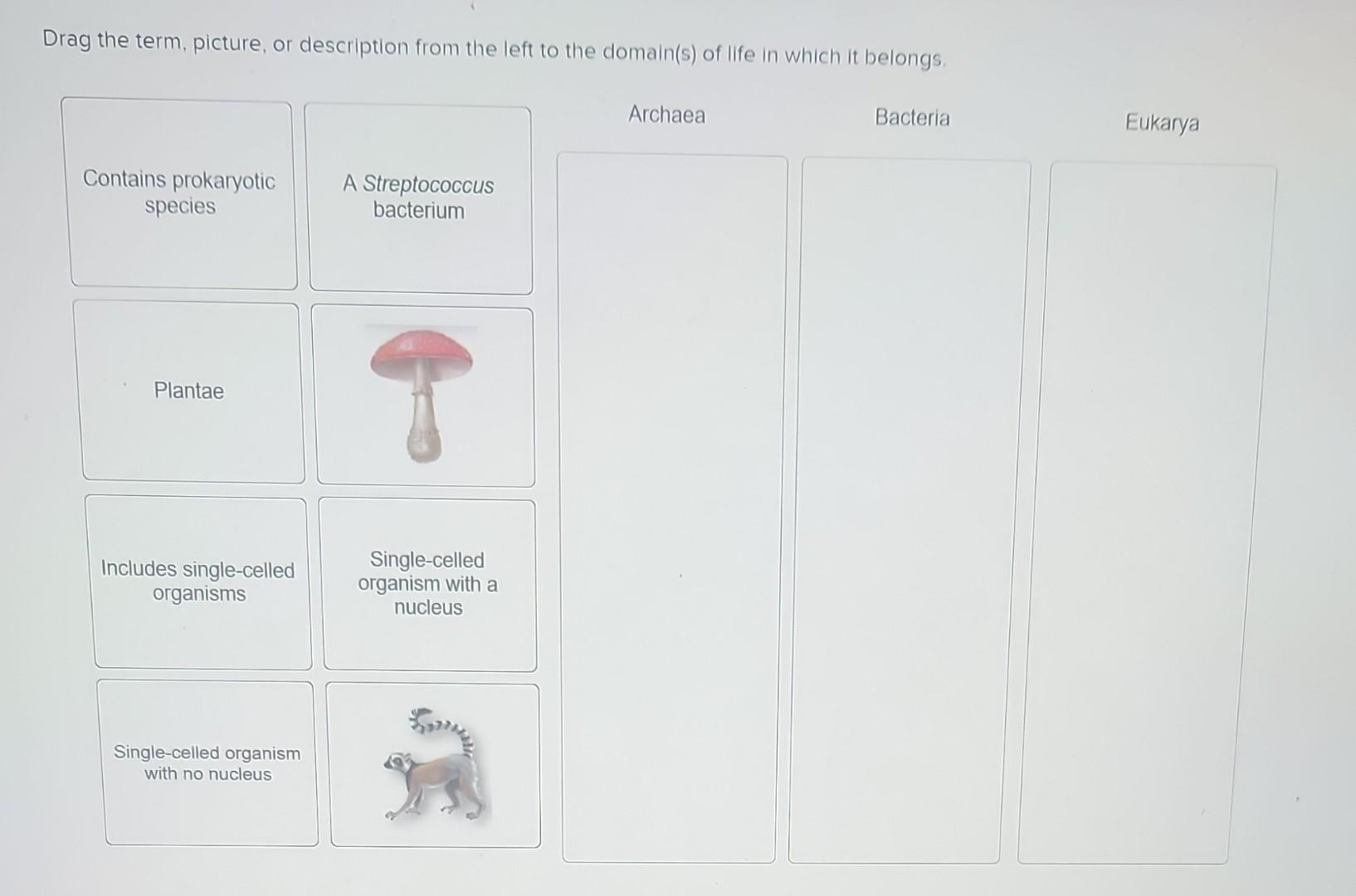 Solved Drag the term, picture, or description from the left | Chegg.com