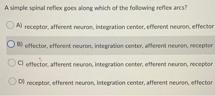 Solved A simple spinal reflex goes along which of the | Chegg.com