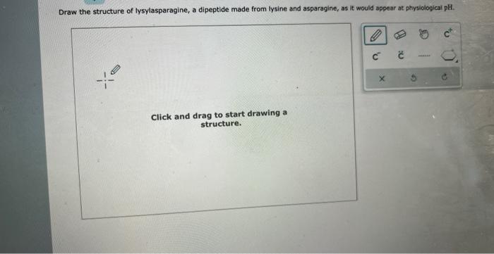 Solved Draw the structure of lysylasparagine, a dipeptide | Chegg.com
