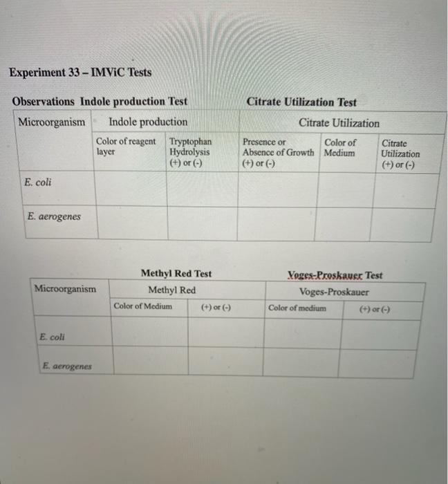 Solved Experiment 33 IMVIC Test The IMVIC series of tests is | Chegg.com