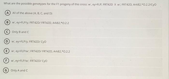 Solved What are the possible genotypes for the F1 progeny of | Chegg.com