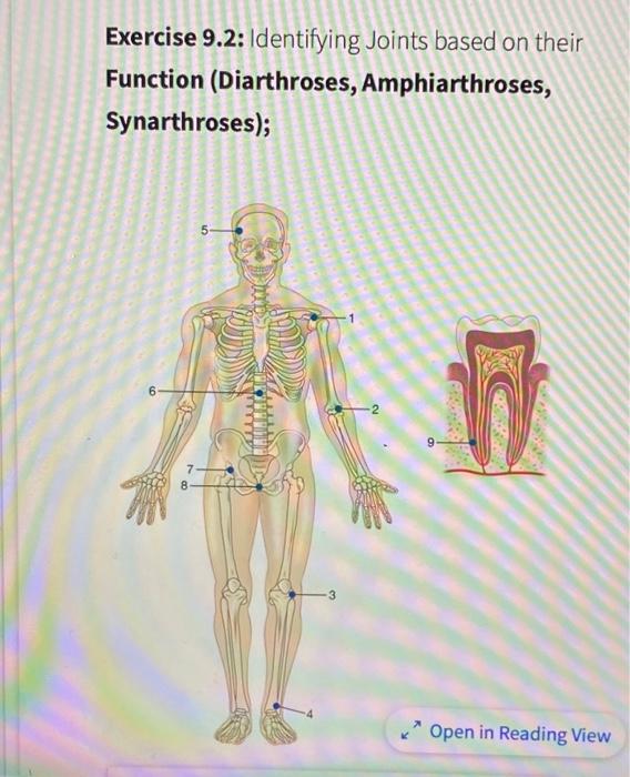 Solved Exercise 9.2: Identifying Joints based on their | Chegg.com