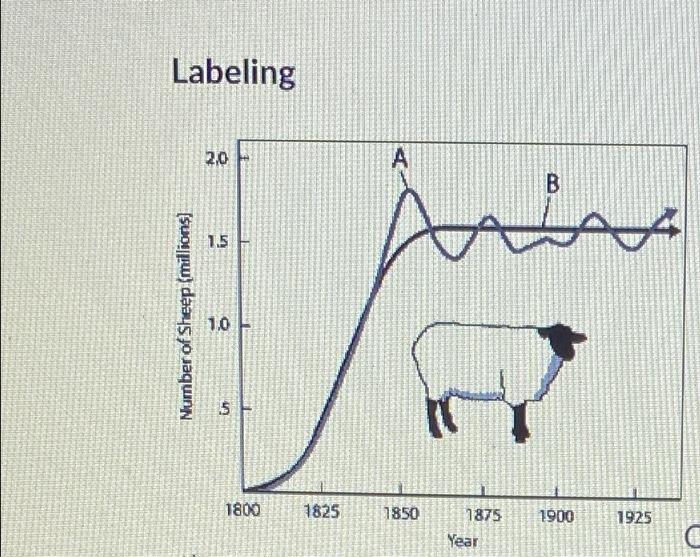 Solved Labeling 2.0 A B 1.5 LA Number of Sheep (millions) | Chegg.com