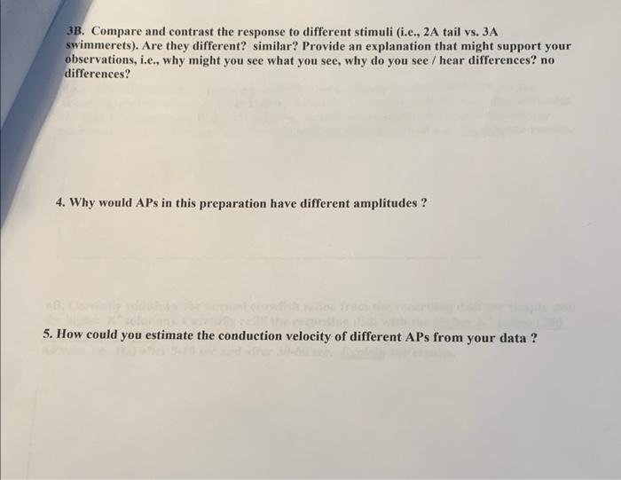Solved 18. Try to identify different sizes (amplitudes) of | Chegg.com