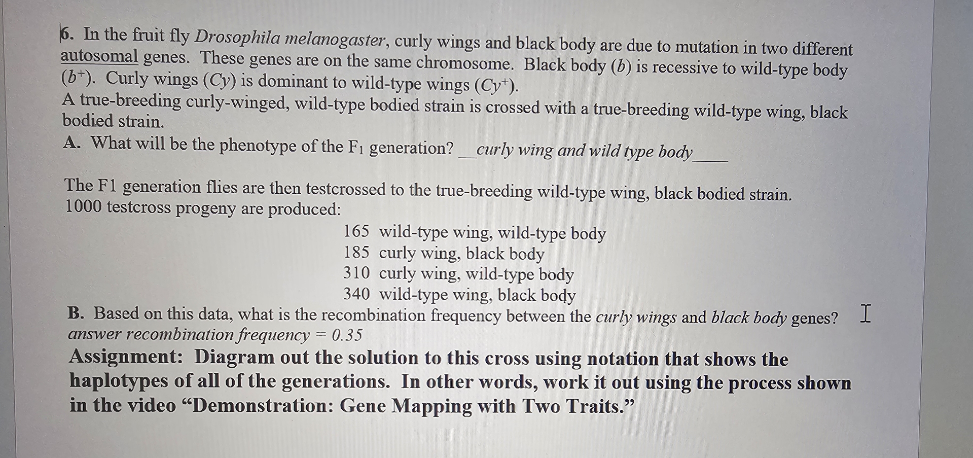 Solved In the fruit fly Drosophila melanogaster, curly wings | Chegg.com