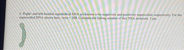 Solved 6. Right-and left-handed superhelical DNA are known | Chegg.com