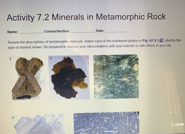 Solved Activity 7.2 Minerals in Metamorphic Rock Name: | Chegg.com