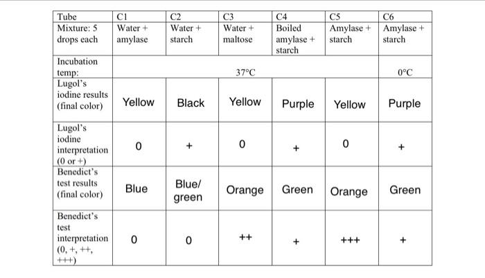 Solved \r\n2. At the end of the experiment, why would a | Chegg.com