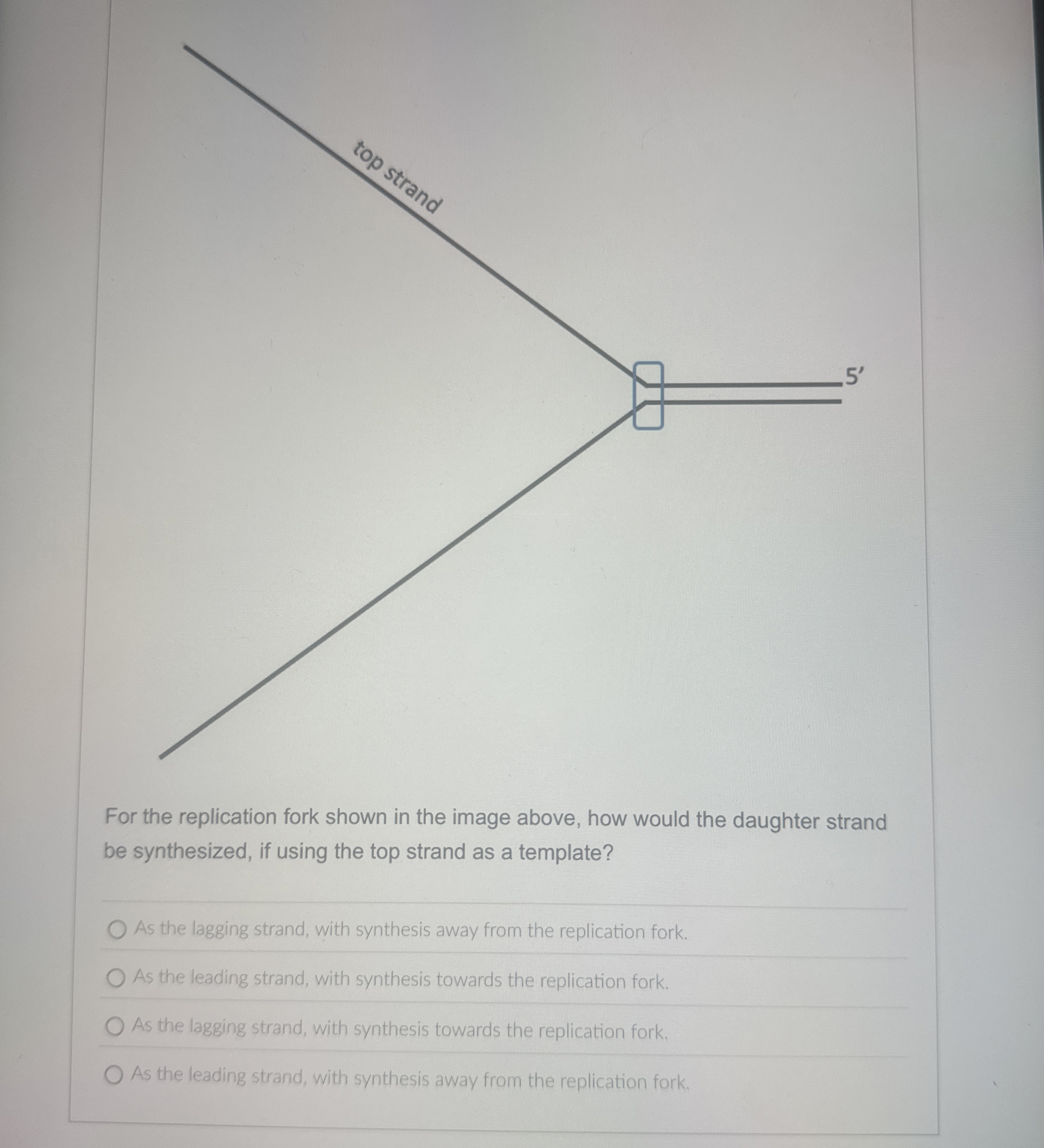 Solved For the replication fork shown in the image above, | Chegg.com