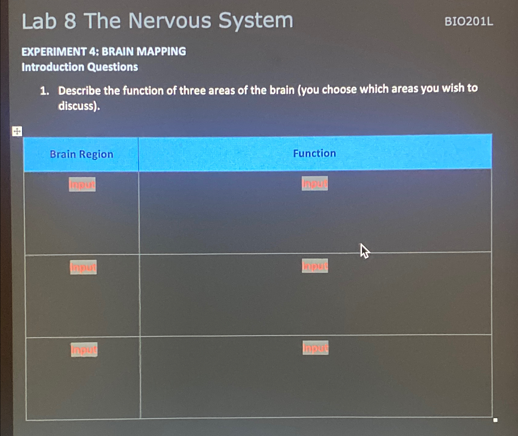 Solved Lab 8 ﻿The Nervous SystemBIO201LEXPERIMENT 4: BRAIN | Chegg.com