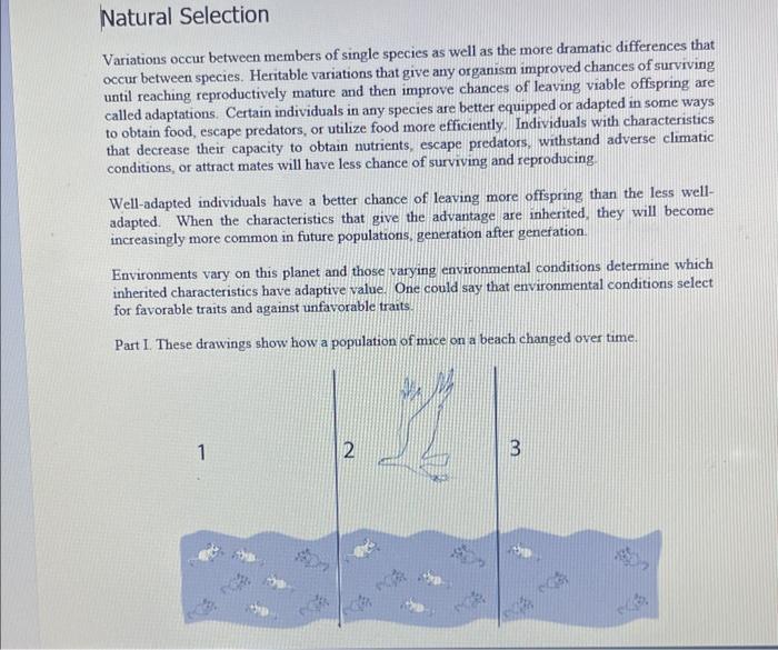 Solved Natural Selection Variations occur between members of | Chegg.com