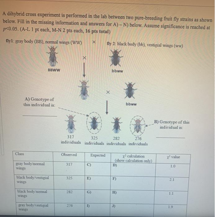 Solved A dihybrid cross experiment is performed in the lab | Chegg.com