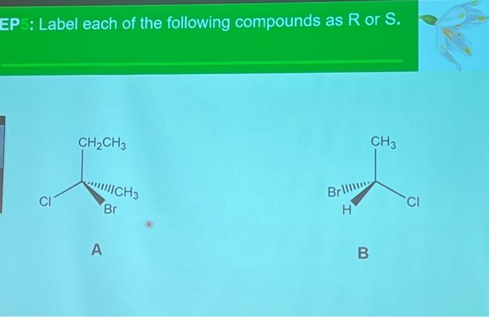 Solved EP5: Label each of the following compounds as R or S. | Chegg.com