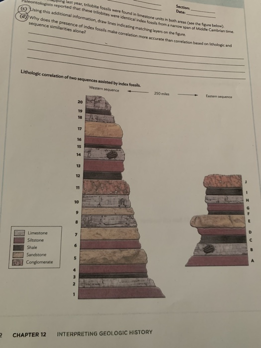 Solved EXERCISE 12.9 Correlation (continued) Name: Course: | Chegg.com