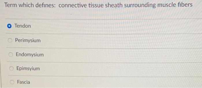 Solved Term which defines: connective tissue sheath | Chegg.com