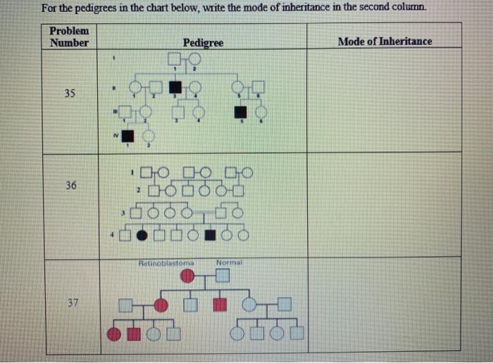 Solved For the pedigrees in the chart below, write the mode | Chegg.com Solved For the pedigrees in the chart below, write the mode | Chegg.com