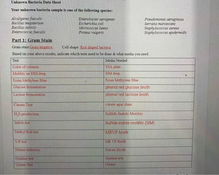 Unknown Bacteria Data Sheet Your unknown bacteria | Chegg.com
