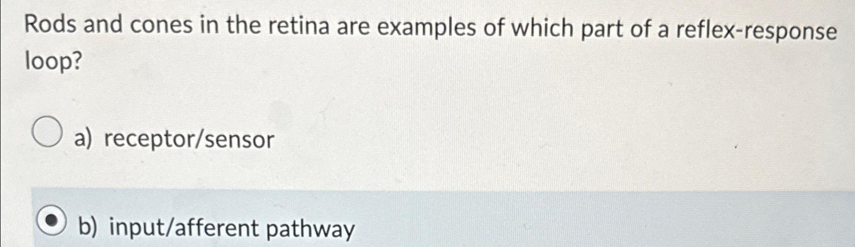 Solved Rods and cones in the retina are examples of which | Chegg.com