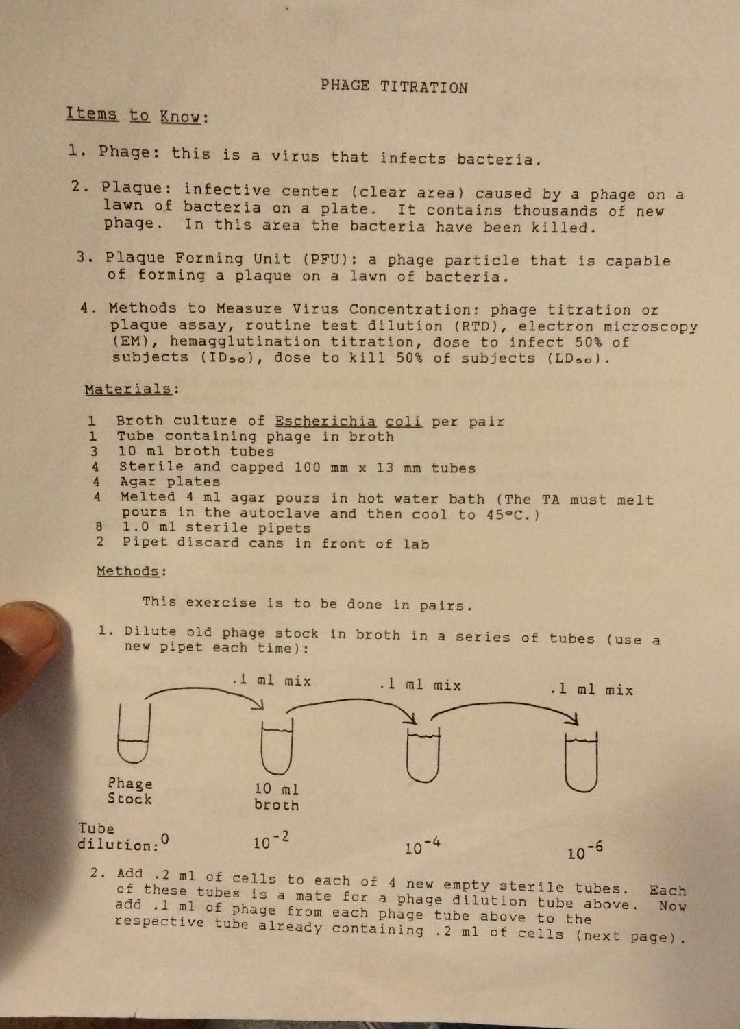 PHAGE TITRATION Items to Know: 1. Phage: this is a | Chegg.com