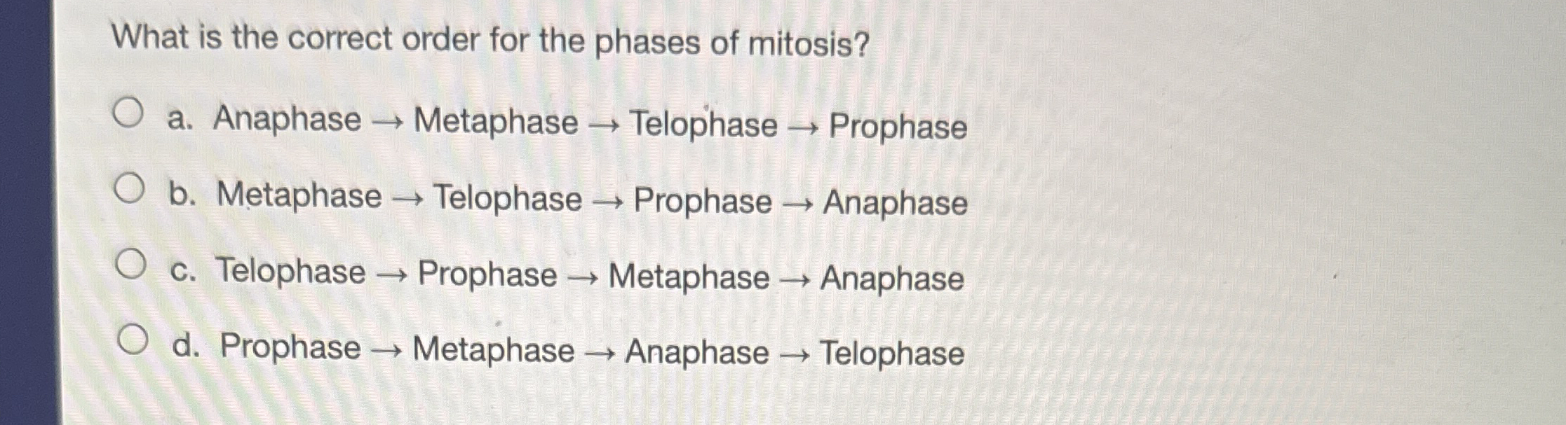 Solved What is the correct order for the phases of | Chegg.com