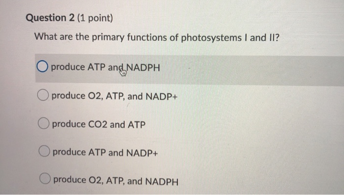 Solved Question 2 (1 point) What are the primary functions | Chegg.com