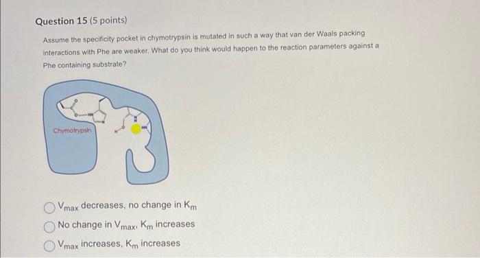 Solved Assume the specificity pocket in chymotrypsin is | Chegg.com