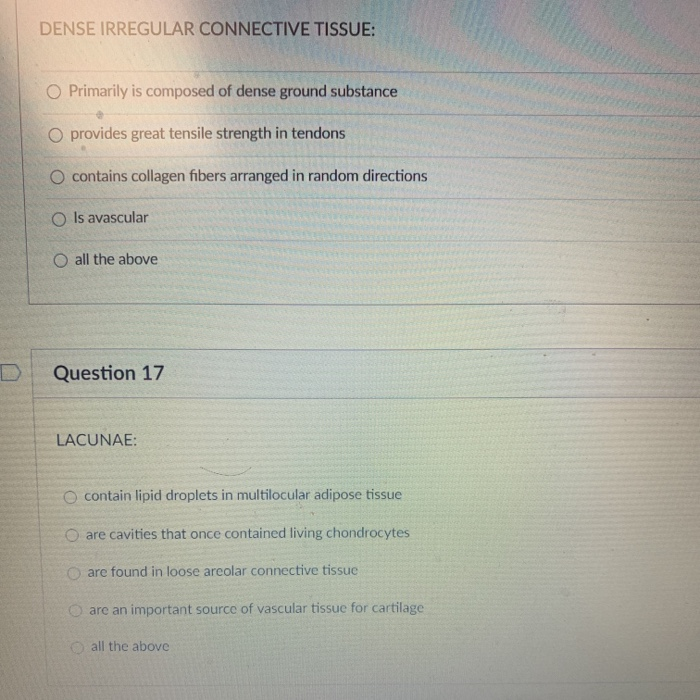 Solved DENSE IRREGULAR CONNECTIVE TISSUE: Primarily is | Chegg.com